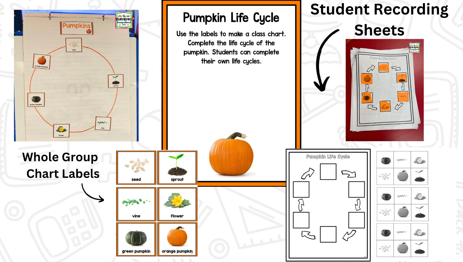 Pumpkins Research Project PLUS Centers – The Kindergarten Smorgasboard ...