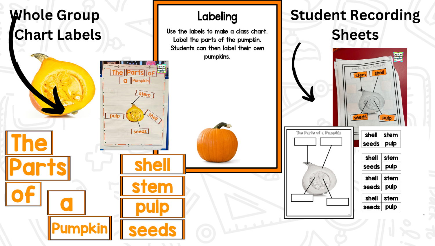 Pumpkins Research Project PLUS Centers – The Kindergarten Smorgasboard ...