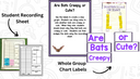Bats: A Research and Writing Project PLUS Centers! – The Kindergarten ...