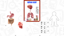 Human Body: A Research and Writing Project PLUS Centers! – The ...