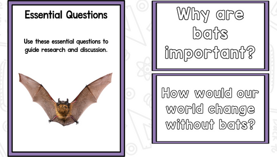 Bats: A Research and Writing Project PLUS Centers! – The Kindergarten ...