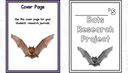 Bats: A Research and Writing Project PLUS Centers! – The Kindergarten ...