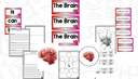 Human Body: A Research and Writing Project PLUS Centers! – The ...