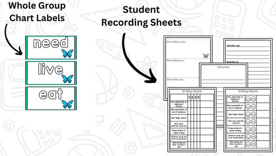 Butterflies: A Research and Writing Project – The Kindergarten ...
