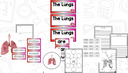 Human Body: A Research and Writing Project PLUS Centers! – The ...
