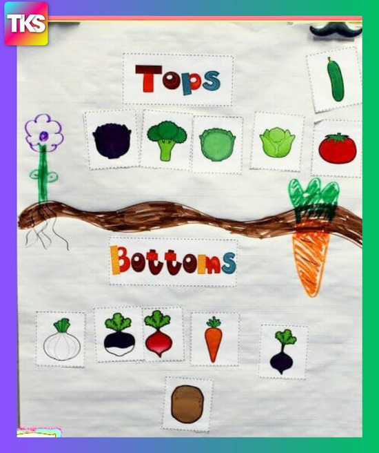 Read It Up! Tops and Bottoms – The Kindergarten Smorgasboard Online Store