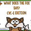 What Does the Fox Say? A CVC-E Word Creation – The Kindergarten ...
