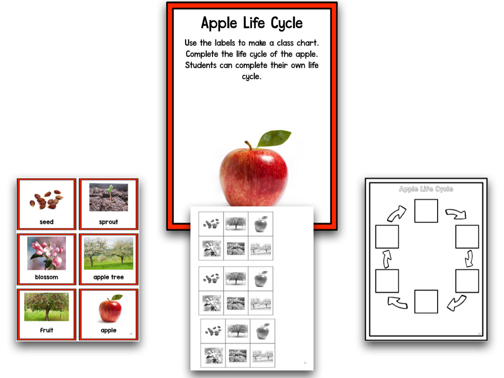 Apples: A Research and Writing Project PLUS Centers! – The Kindergarten ...
