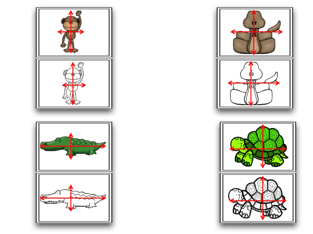 Measuring Zoo Animals – The Kindergarten Smorgasboard Online Store