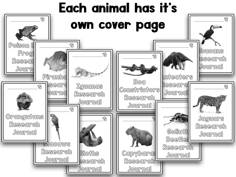 Rainforest Animals Research Project – The Kindergarten Smorgasboard ...