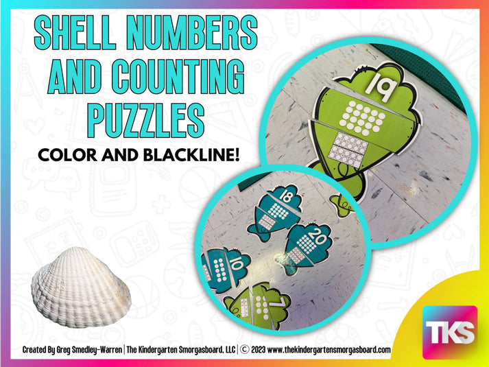 Shell Numbers & Counting – The Kindergarten Smorgasboard Online Store