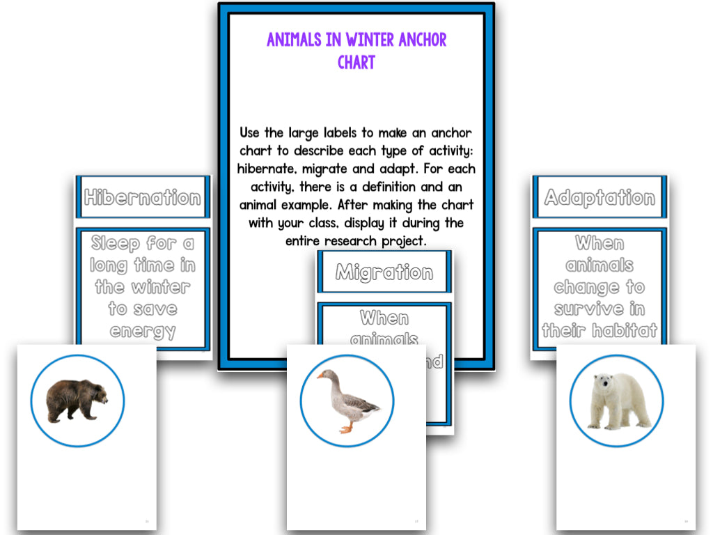 Animals In Winter Research Project – The Kindergarten Smorgasboard ...