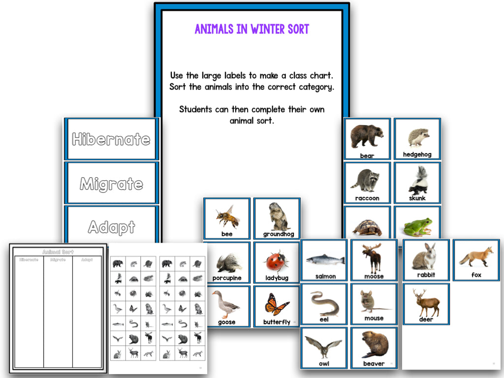 Animals In Winter Research Project – The Kindergarten Smorgasboard ...