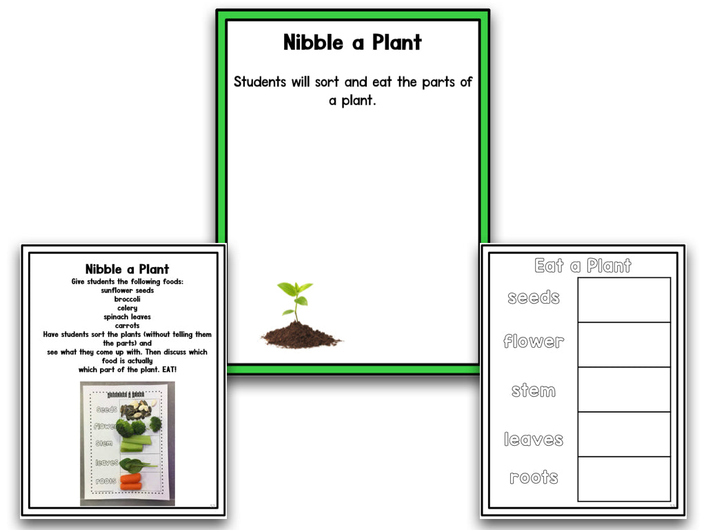Planting Seeds: A Plants Research and Writing Project PLUS Centers ...