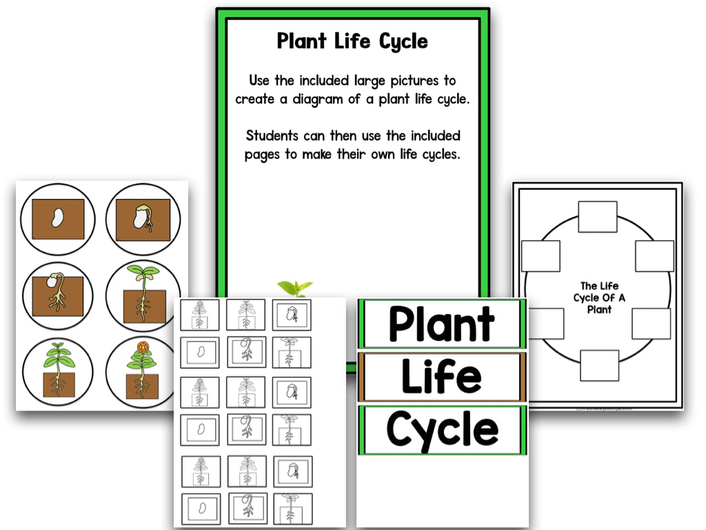 Planting Seeds: A Plants Research and Writing Project PLUS Centers ...